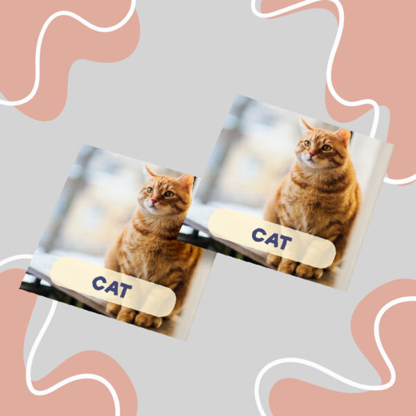 Match Animals + Irregular Verbs - Che, teacher!