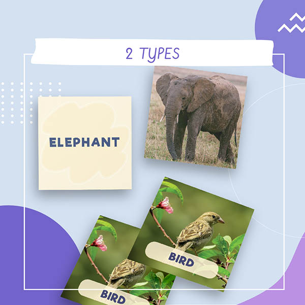 Match Animals + Irregular Verbs - Che, teacher!